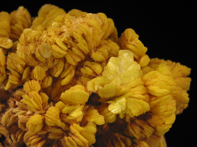 Autunite- Mineral Specimen for Sale from France and Washington