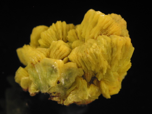 Autunite- Mineral Specimen for Sale from France and Washington